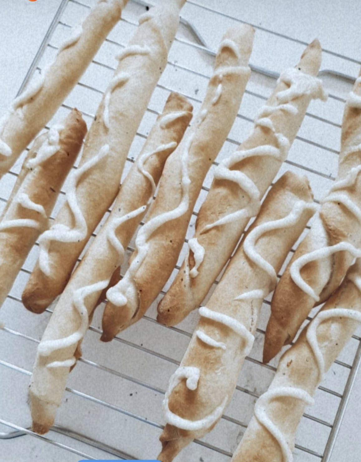 Domaći slanci - sestrin recept | Darkova Web Kuharica